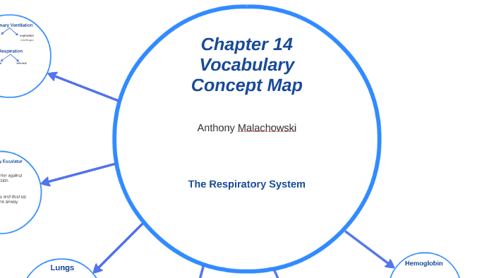 Chapter 14 Vocabulary Concept Map by Anthony Malachowski on Prezi