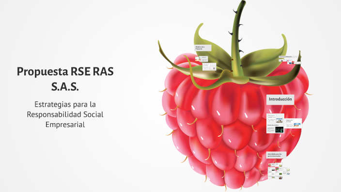 Propuesta RSE RAS S.A.S. by EILEEN SOFIA ROBLES AMAYA on Prezi