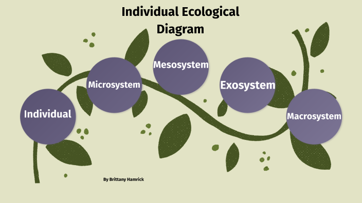 Individual Ecological Diagram by Brittany Hamrick on Prezi