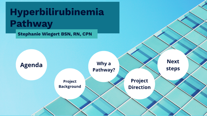 Hyperbili Pathway by Stephanie Wiegert on Prezi