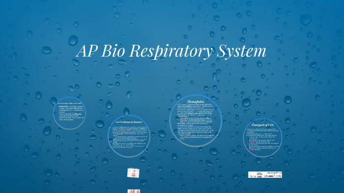 AP Bio Respiratory System by Nicholas Abrahams on Prezi