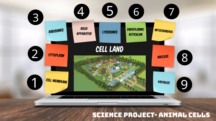 Cell land by Amina Bozai on Prezi