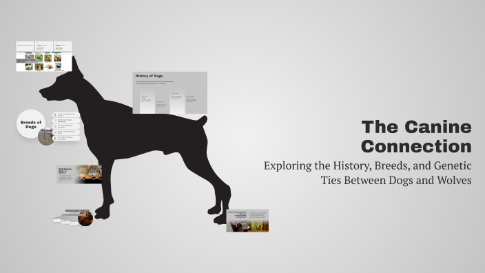 The Canine Connection by Eli Coert on Prezi