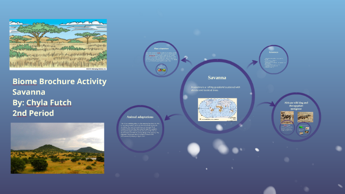 Biome Brochure Activity by Chyla Futch-Spates on Prezi