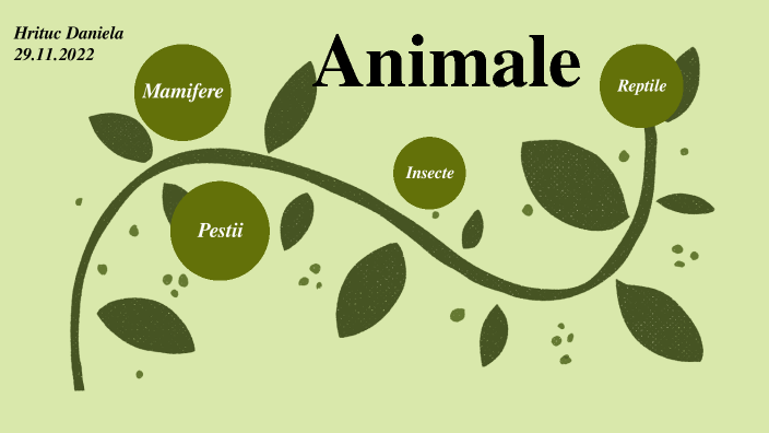 animale by Daniela Hrituc on Prezi