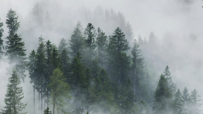 by Emily Strain on Prezi