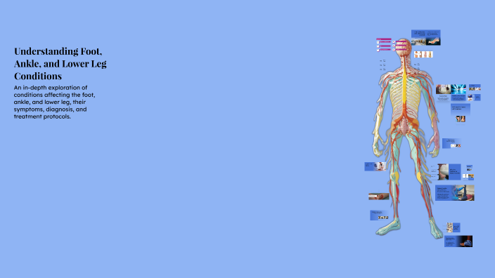 Understanding Foot, Ankle, and Lower Leg Conditions by Ayah Deeb on Prezi