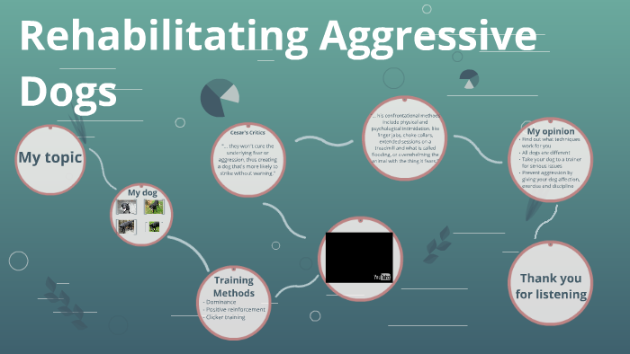 Rehabilitating Aggressive Dogs by Simran Sandhar on Prezi