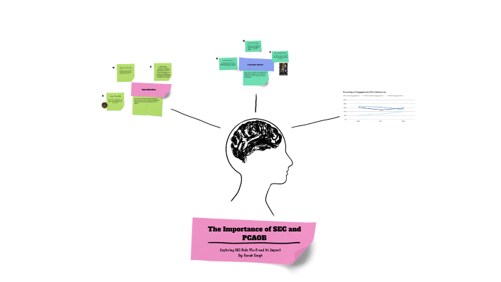 Importance of SEC and PCAOB by Sarah Singh on Prezi