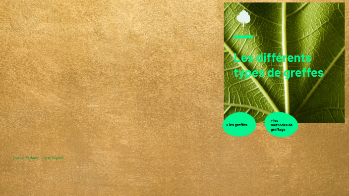 Programme sélection - Types de greffage by Justine Vichard on Prezi