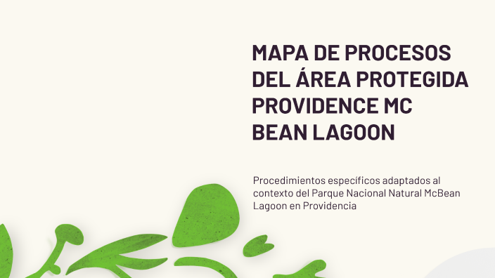 MAPA DE PROCESOS DEL AREA PROTEGIDA PROVIDENCE MC BEAN LAGOON by PVA ...