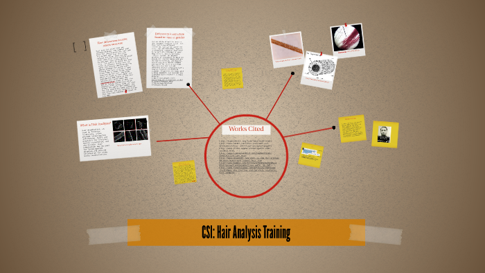CSI: Hair Analysis Training by Victoria Hill on Prezi