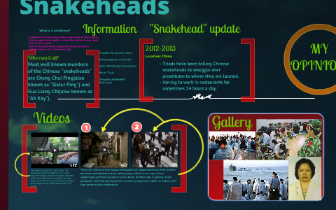 Chinese Snakehead Gang by Trisha Ng on Prezi