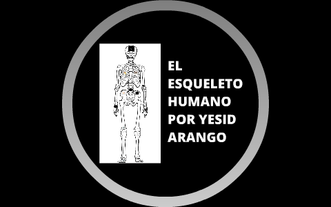 Huesos Del Cuerpo Humano by Yesid Arango Jiménez on Prezi