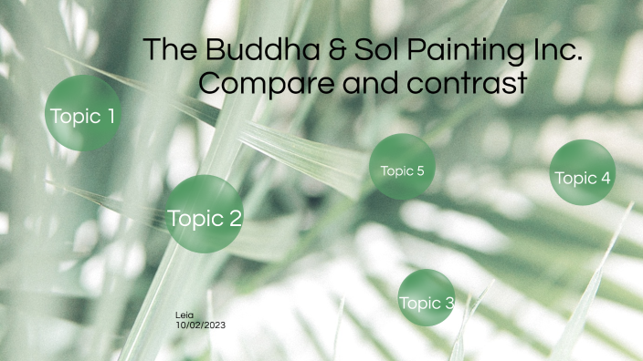 The Buddha & Sol Painting Inc. by Leia Weller on Prezi