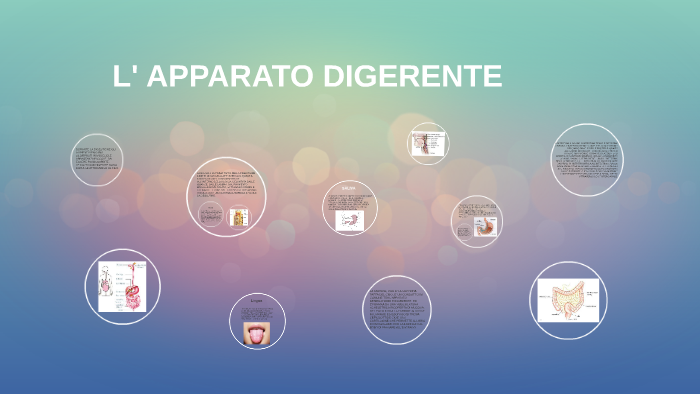 L'apparato digerente by Lisa Valeri on Prezi