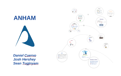 ANHAM USA INC by Daniel Cuervo on Prezi