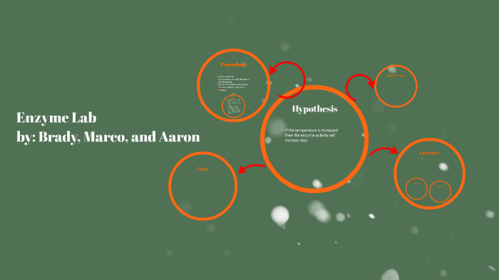 Enzyme Lab by Aaron Bever on Prezi