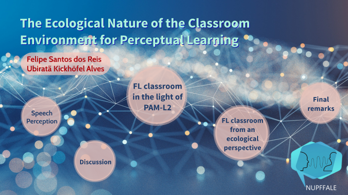 The Ecological Nature of the Classroom Environment for Perceptual ...