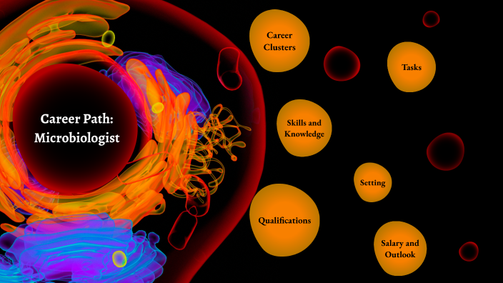 Microbiologist Career Path by Nicholas Hammett on Prezi