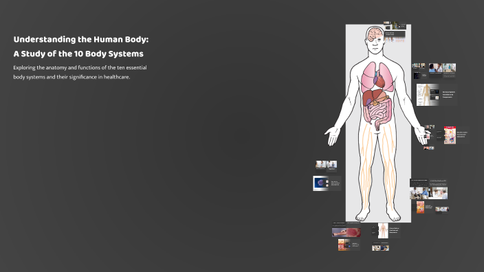 Understanding the Human Body: A Study of the 10 Body Systems by Jurney ...