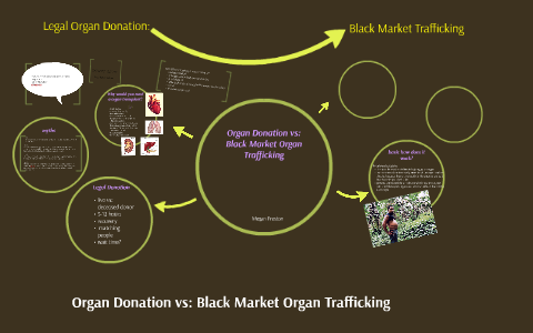 Organ Donation vs: Black Market Organ Trafficking by Megan Preston on Prezi