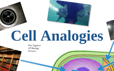 Cell Analogies by Duc Nguyen on Prezi