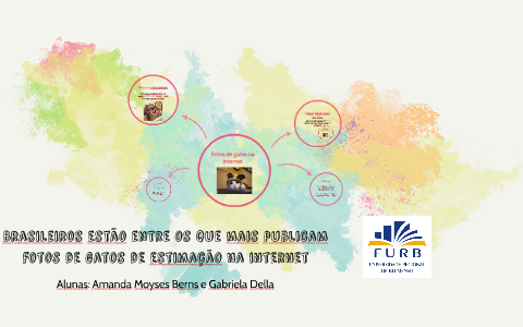 Brasileiros estão entre os que mais publicam fotos de gatos by Amanda ...