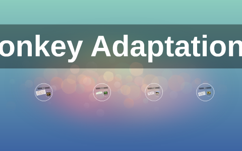 Monkey Adaptations by bella grant on Prezi