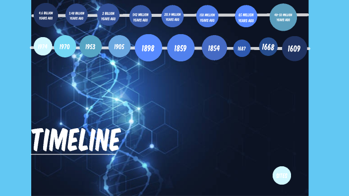 Timeline Bio by Hailey Gobeil on Prezi