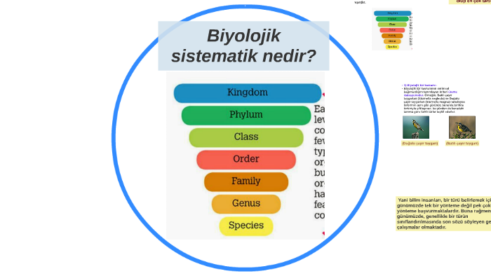 Biyolojik sistematik nedir? by Kamran Məmmədli on Prezi