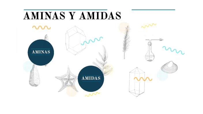 AMINAS Y AMIDAS by Claudia López Pradas on Prezi