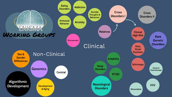 ENIGMA Consortium organizational chart by Sophia T on Prezi