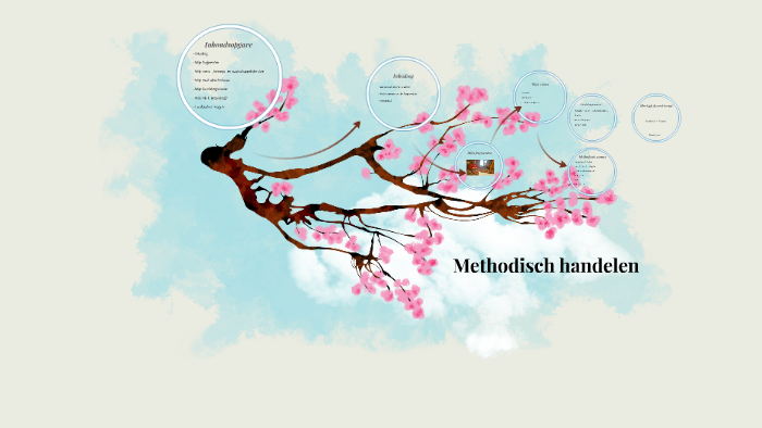 Methodisch handelen by Imane Alaoui on Prezi