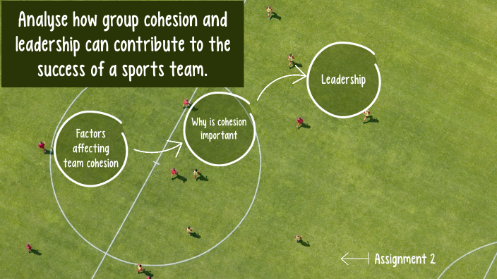 Analyse how group cohesion and leadership can contribute to success of ...