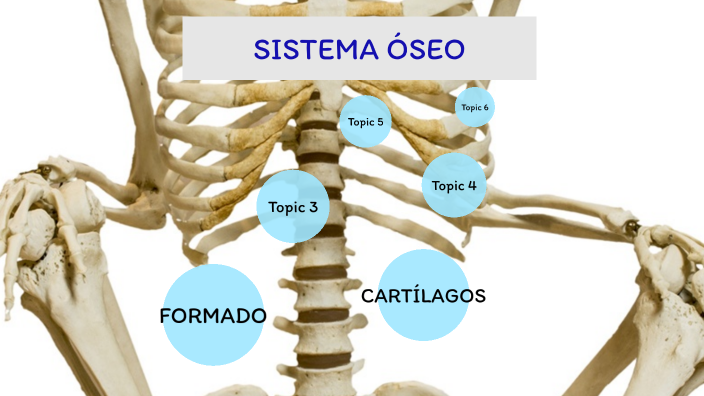 ESTRUCTURA ÓSEA by nestor salazar on Prezi
