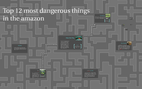 Top 12 most dangerous things in the amazon by Keller Mardis on Prezi