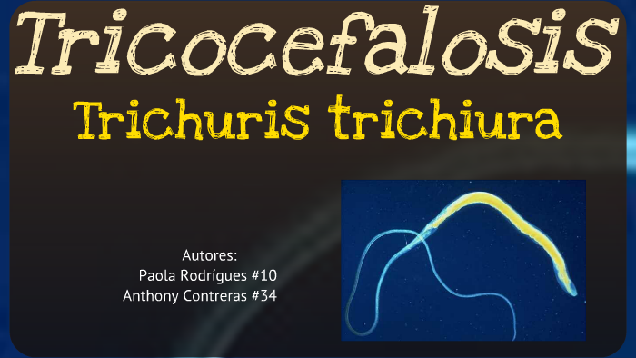 Trichuris trichiura by Gabriel Contreras on Prezi