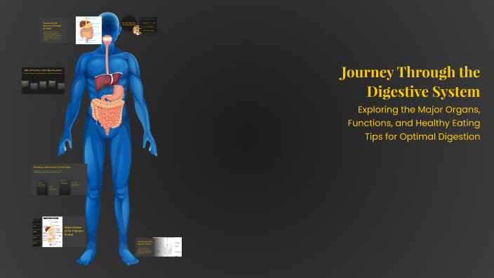 Journey Through the Digestive System by Larry Fuller on Prezi