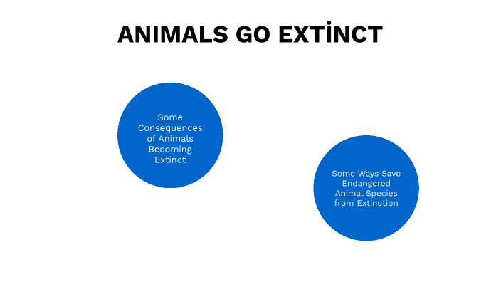 Some Consequences of Animals Becoming Extinct and Some Ways Save ...