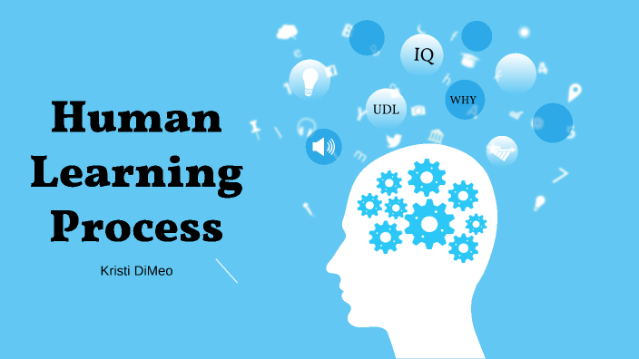 Human Learning Process by Kristi DiMeo on Prezi