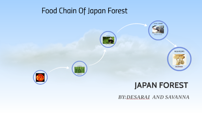 Food Chain Of China by desarai tye on Prezi