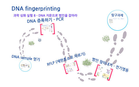 DNA fingerprinting by Jeong Hun Park on Prezi