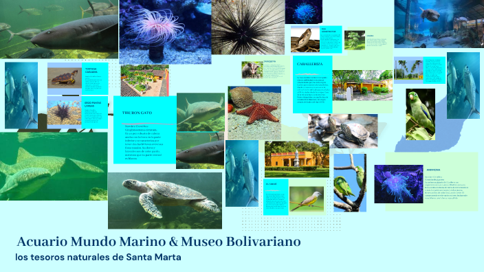 Collage Interactivo del Acuario by Isabel Sotomayor on Prezi