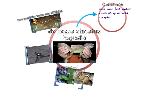 jezus christus hagedis by nick lijfhyt on Prezi