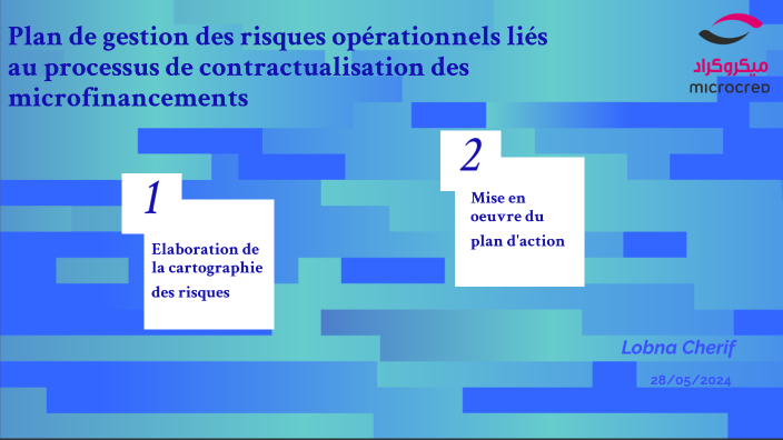 Plan de gestion des risques relatives à la contractualisation des ...