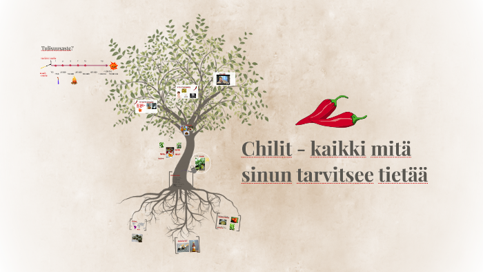 Chilit - kaikki mitä sinun tarvitsee tietää by Tuija Alasalmi on Prezi