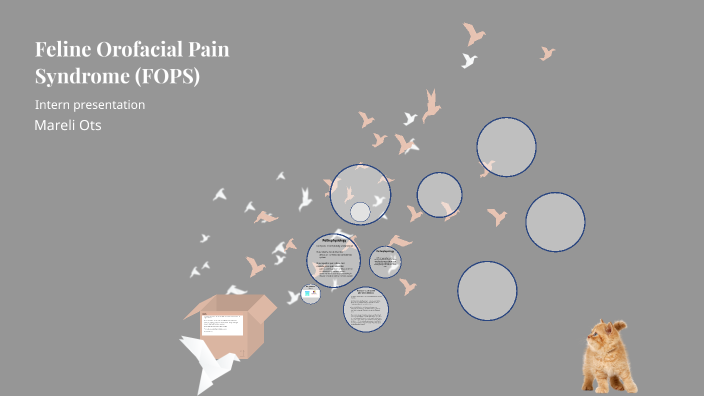 FOPS - feline orofacial pain syndrome by Mareli Ots on Prezi