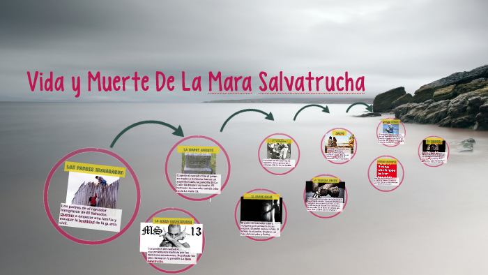Vida y Muerte De La Mara Salvatrucha by Leah Waiters on Prezi