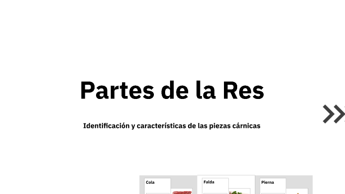 Partes de la Res by Thania Castellanos on Prezi